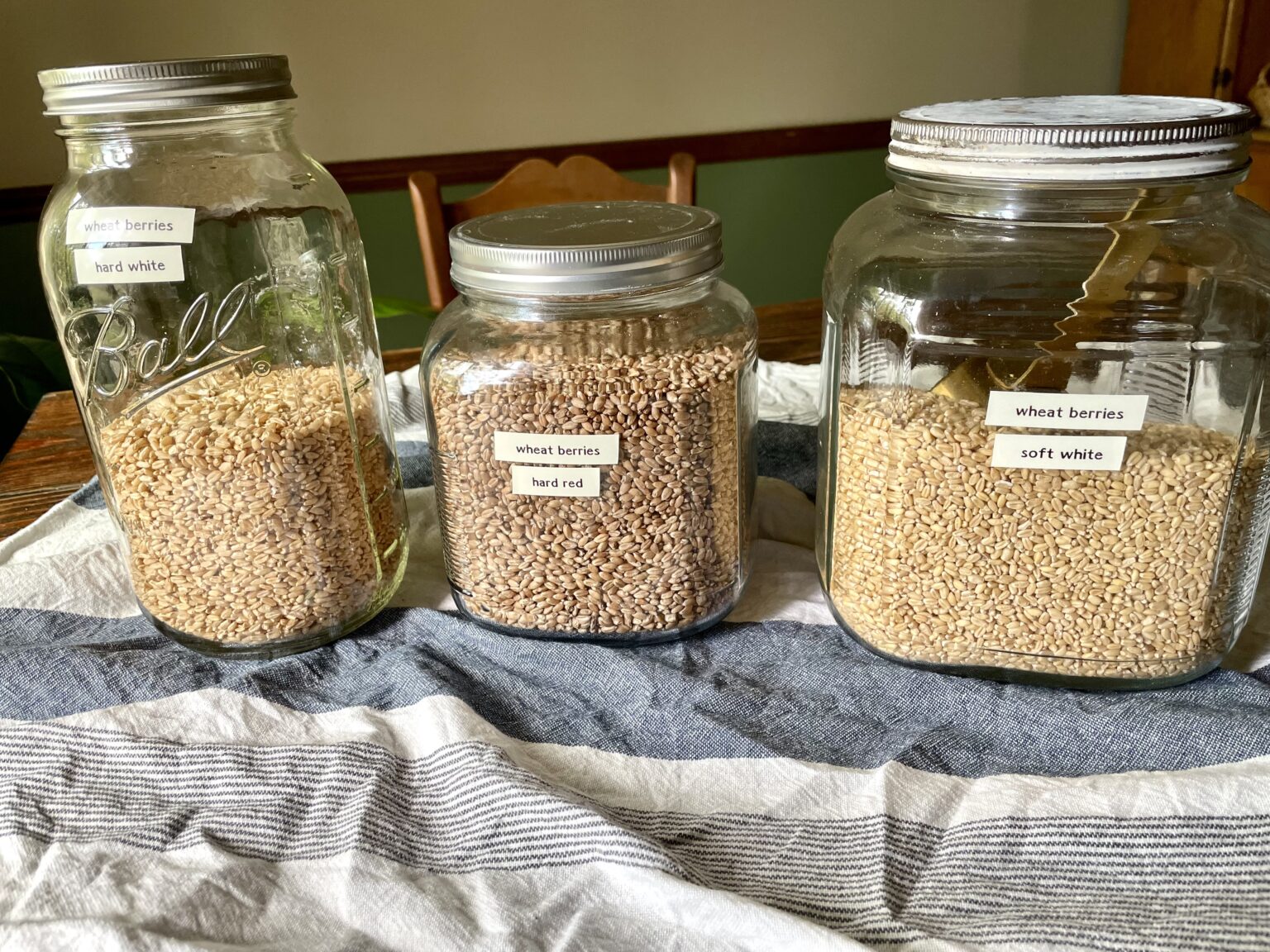 How to Store Wheat Berries for Long Term Food Storage