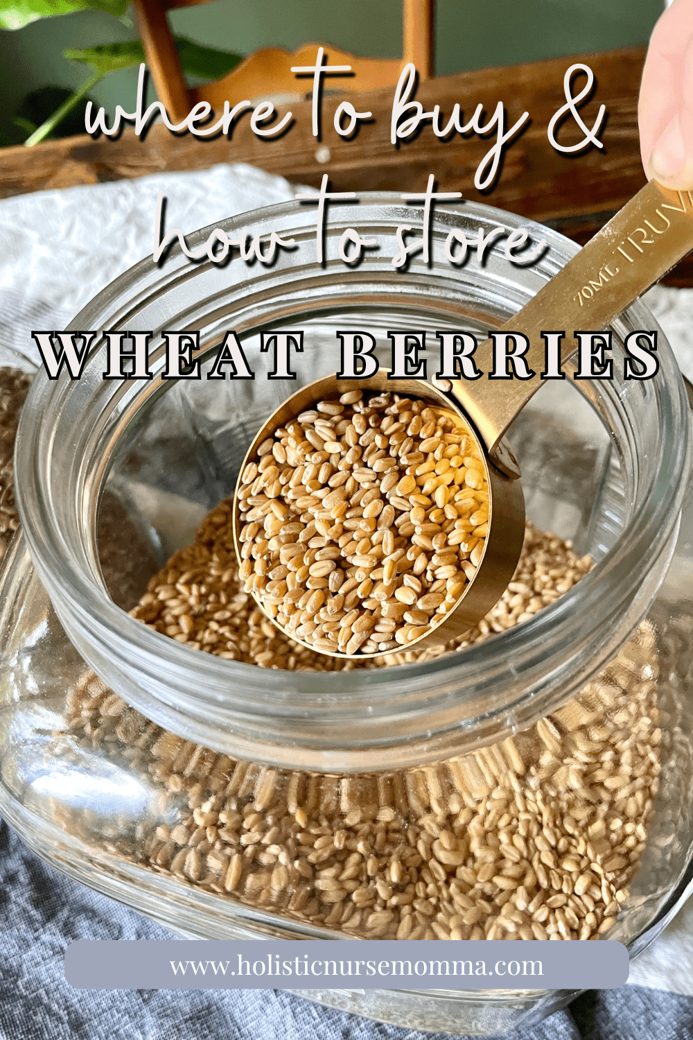 How to Store Wheat Berries for Long Term Food Storage